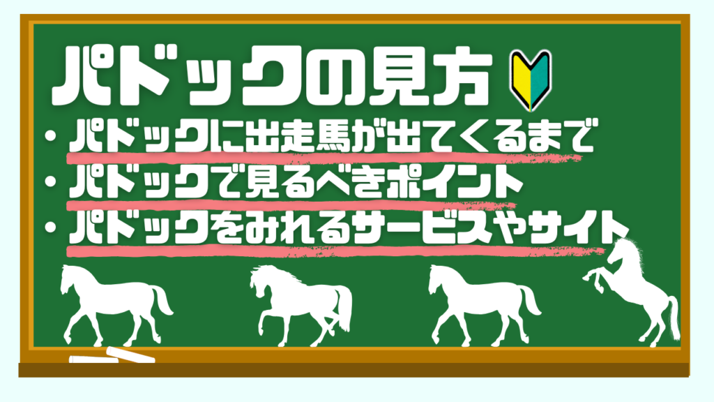 【競馬基礎知識】パドックの見方 | サステナケイバ 持続可能な競馬ライフ